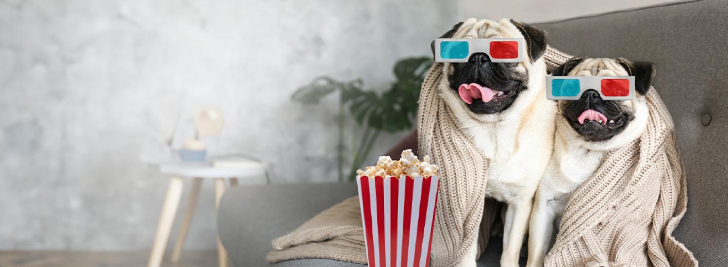 Internet koju | Tele2 kiire 5G koduinternet